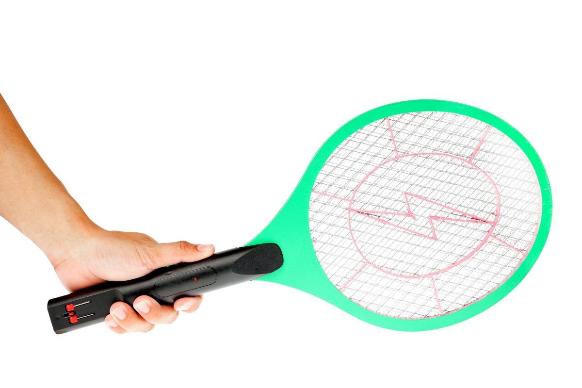 Comment bien sélectionner une raquette anti moustique - Moustiques tigres